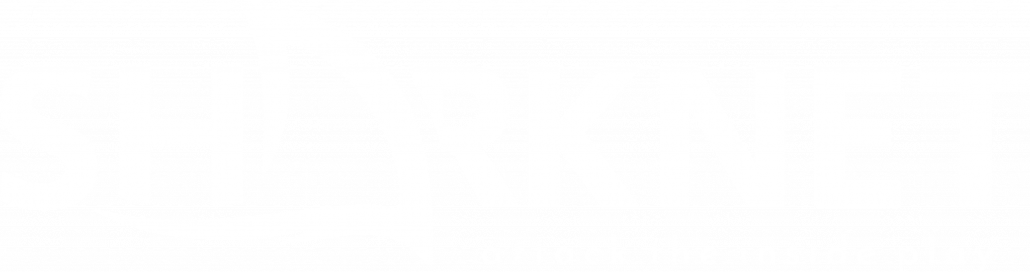 How to Play - Sharknet